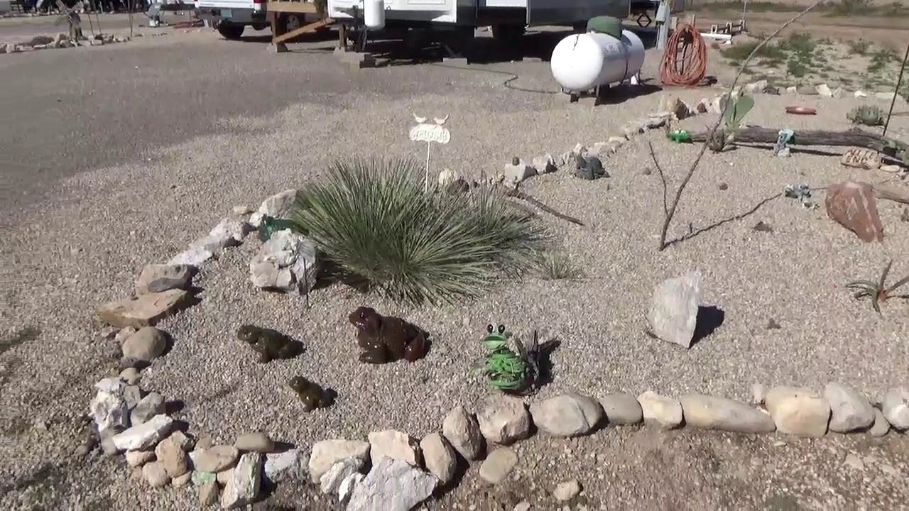 Wandering Turtles # 2: SKP Ranch - YouTube