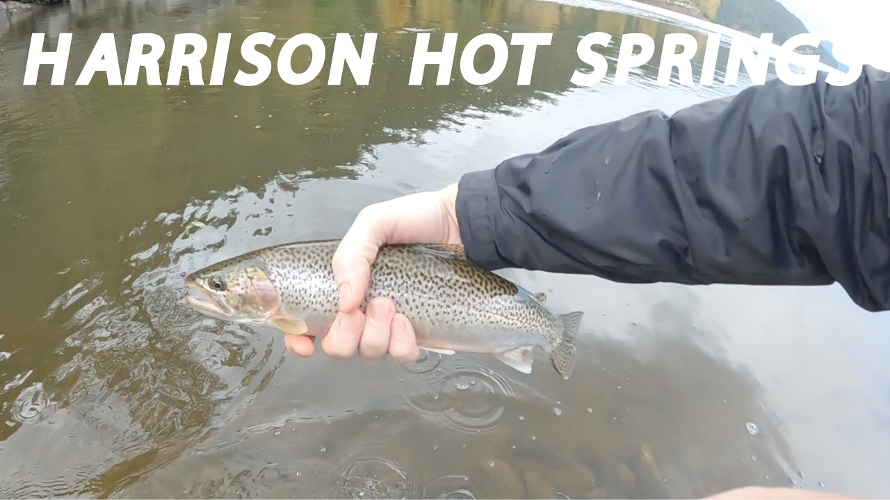 Fly fishing: a Harrison Hot Springs Adventure - YouTube