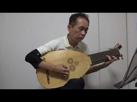 Anon:Menuet - Baroque lute
