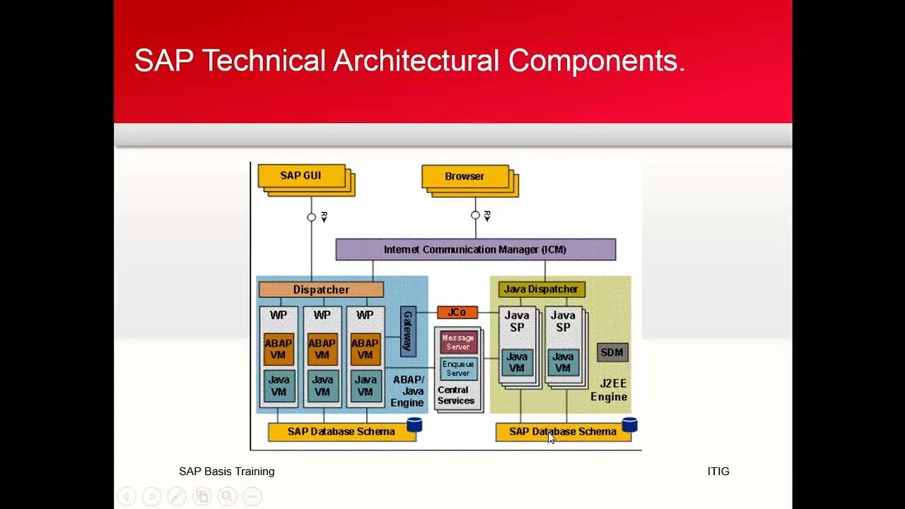 What is SAP || What is SAP Basis || SAP BASIS Introduction - YouTube