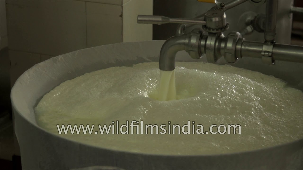 Technique of making Chhena with the help of machines at KC Das Kolkata ...