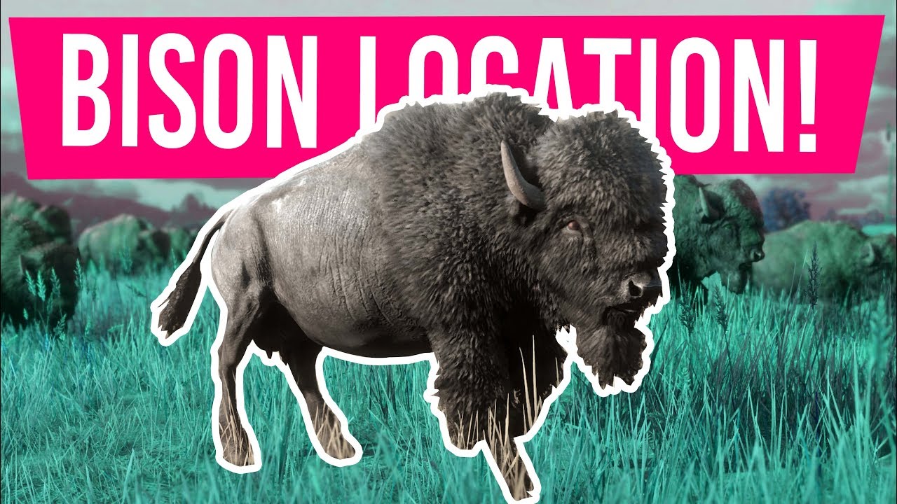 Legendary White Bison Location Red Dead Redemption 2! - YouTube