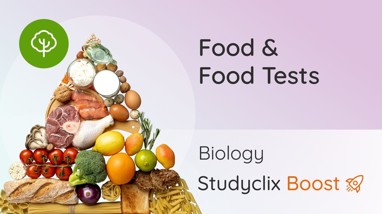 Qualitative Test for Starch, Food and Food Tests - Leaving Cert Biology ...