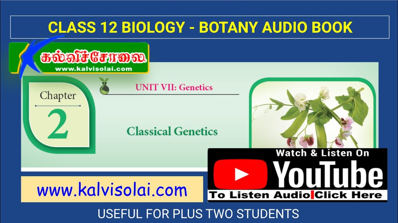 TN | CLASS 12 BIOLOGY BOTANY | CHAPTER 2 | CLASSICAL GENETICS | BOOK ...