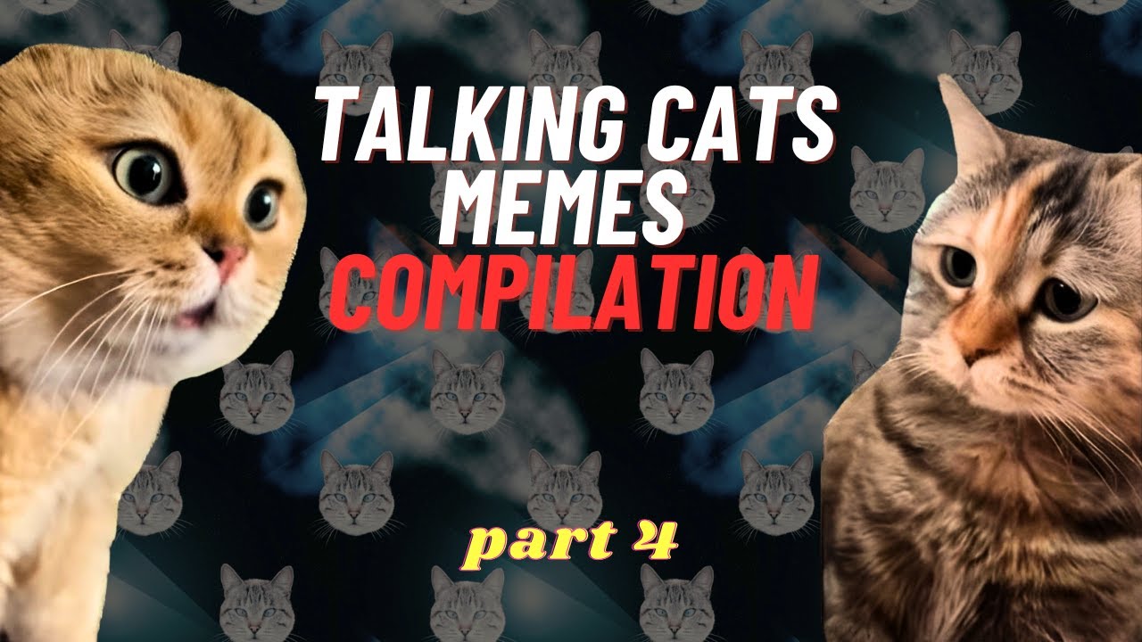 Talking cat meme compilation 4 - YouTube