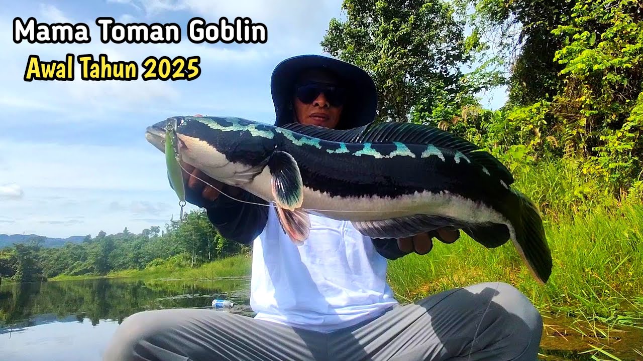MAMA TOMAN GOBLIN AWAL TAHUN 2025 || CASTING TOMAN - YouTube