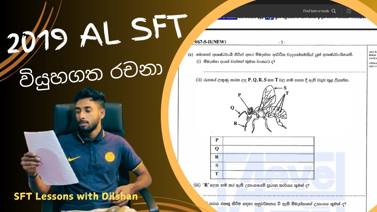 SFT 2019 Structured Essay | SFT Past Paper Discussion | SFT Lessons ...