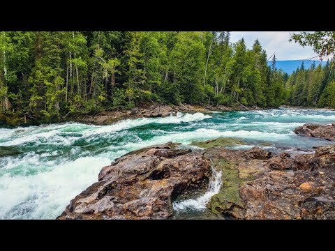 Amazing beautiful nature with relaxing music|no copyright nature videos|nature whatsapp status video