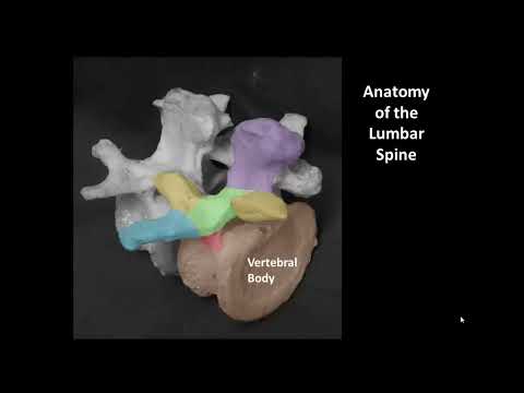 Ultrasound-assisted midline approach to spinal/epidural anesthesia ...