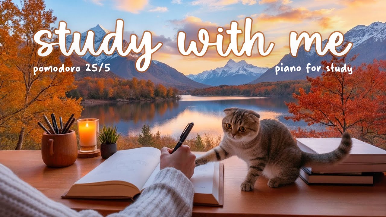 [No Ads] STUDY WITH ME 🌅 Golden Hour in Forest 🌲 Calm Piano ⏳ Pomodoro ...
