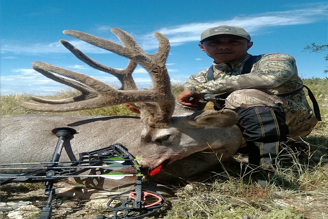 NEW MEXICO ARCHERY DESERT MULE DEER HUNT-2 Seasons 1 Year - YouTube