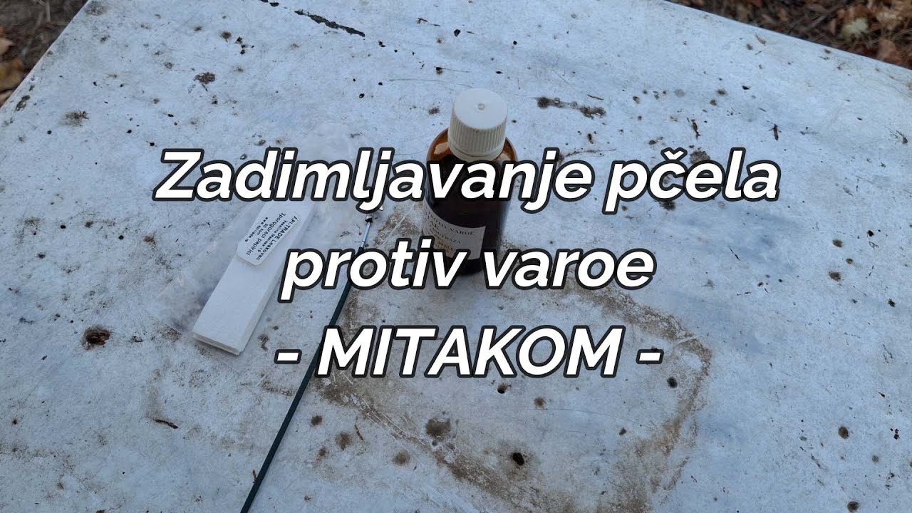 Zadimljavanje pčela protiv varoe - MITAKOM - - YouTube