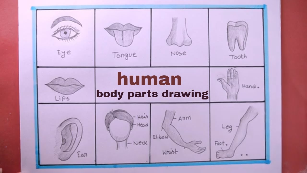 Expert Artist Shares Top Drawing Human Body Parts Techniques! - YouTube