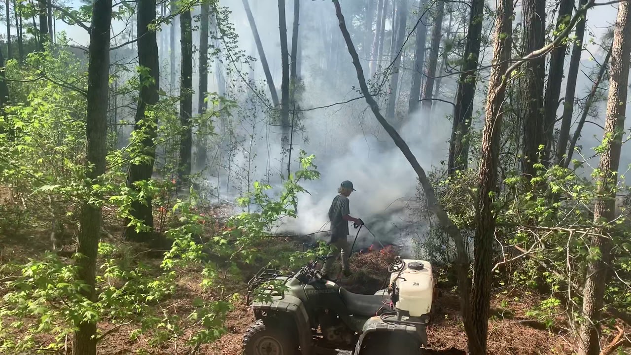 June Branch back burn - YouTube