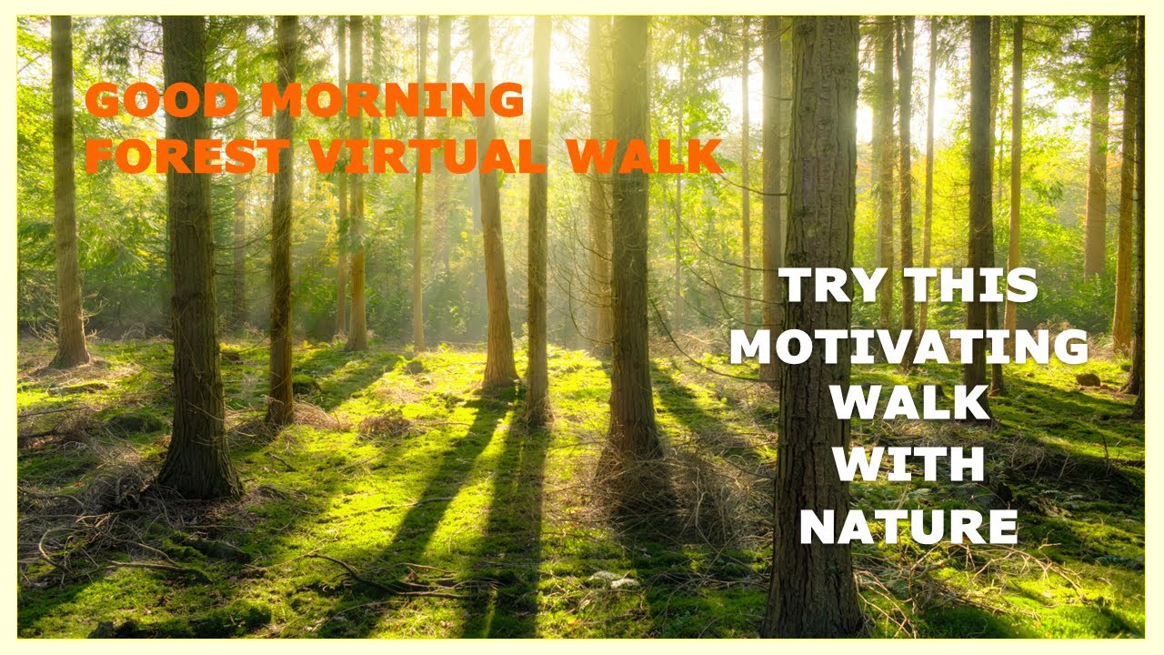 [Virtual Walk through Forest] GOOD MORNING MUSIC Motivational Sport ...