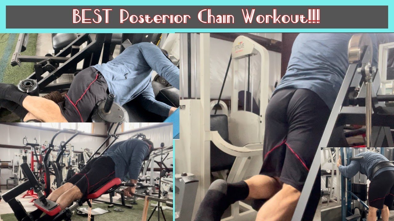 The BEST Posterior Chain Workout!!! - YouTube