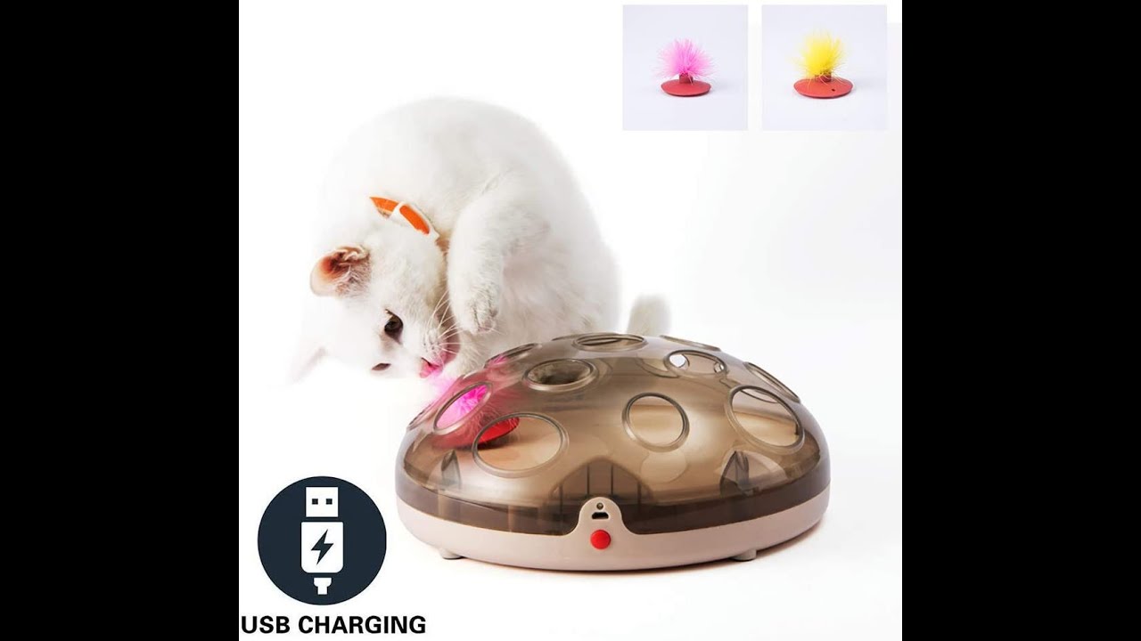 LIGHT & NOISE CAT TOY - YouTube