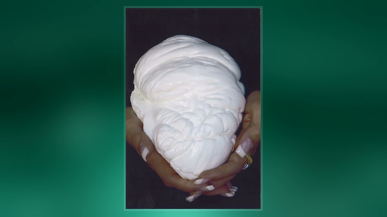Lao Tzu Pearl Atelier Yuwaciaojp