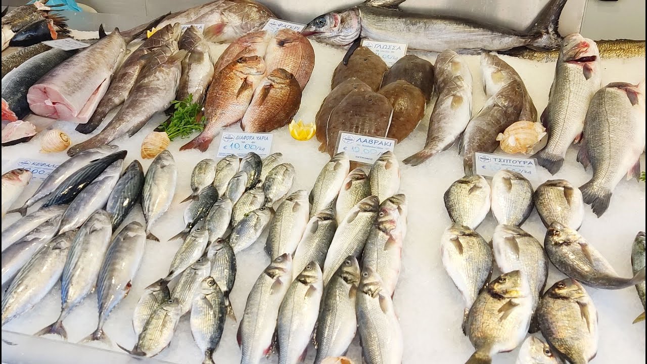Corfu Island Kerkyra fish market Greece 4K 2022 - YouTube