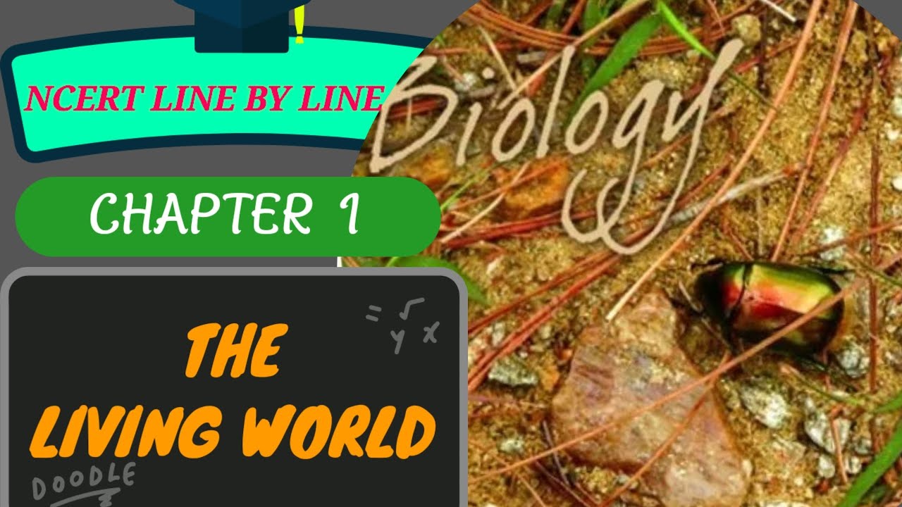 NCERT SCIENCE CLASS 11 CHAPTER 1 | THE LIVING WORLD | NCERT LINE BY ...