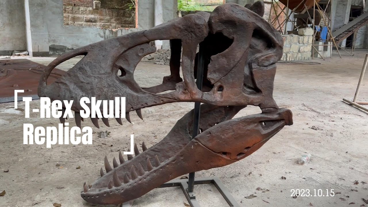 SKR004-T-Rex Skull Replica Made By MCSDINO - YouTube