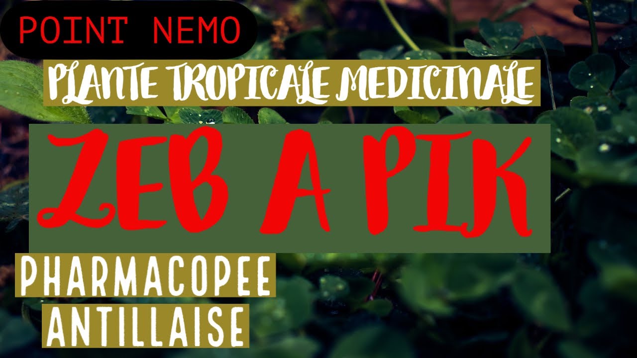ZEB A PIK - PLANTES TROPICALES MEDICINALES - POINT NEMO - YouTube