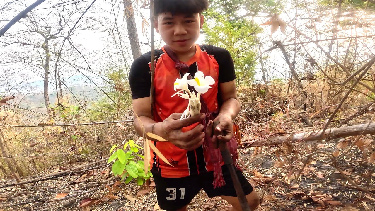 Hunting Paw Paw Wah in Thailand - YouTube