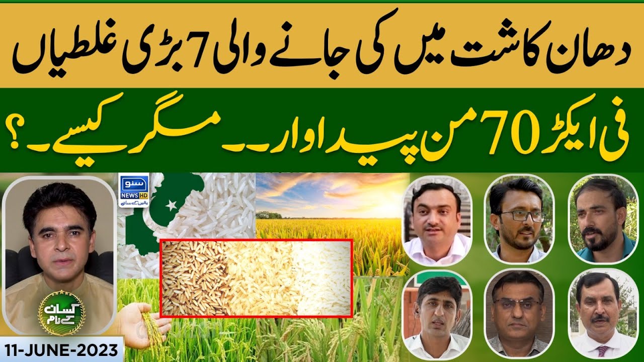 How To Control Weeds in Rice | Complete Production Technology To Get 70 ...