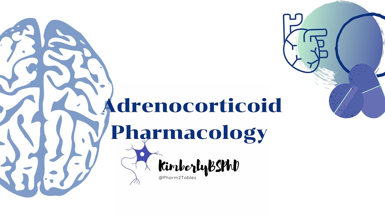 PA School Pharmacotherapeutics: Adrenocorticoids - YouTube