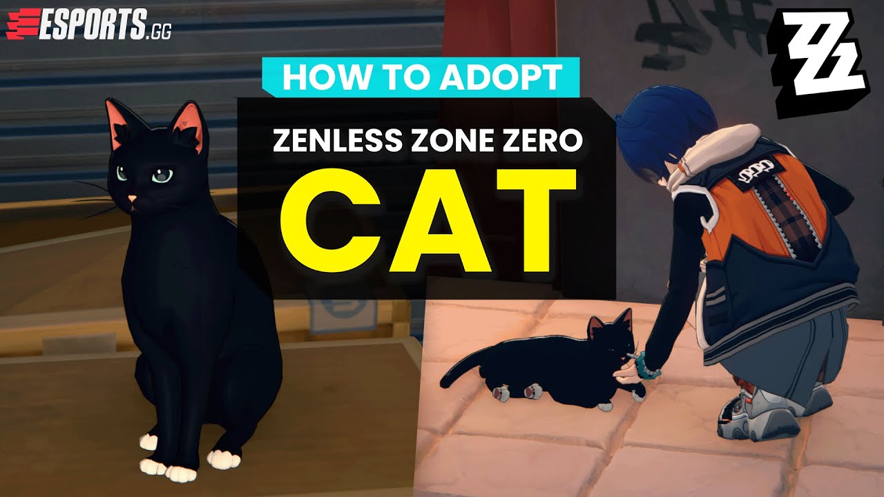 How to adopt a Cat in Zenless Zone Zero (ZZZ) - YouTube