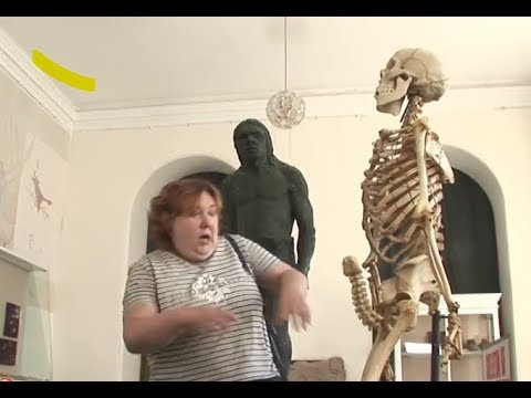 Men's skeleton with some extra bones !! - YouTube