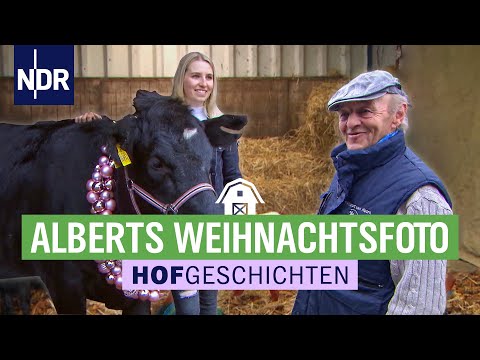Weihnachtsvorbereitungen & Bäumerücken mit dem Kaltblut | Hofgeschichten (158) | NDR auf’m Land