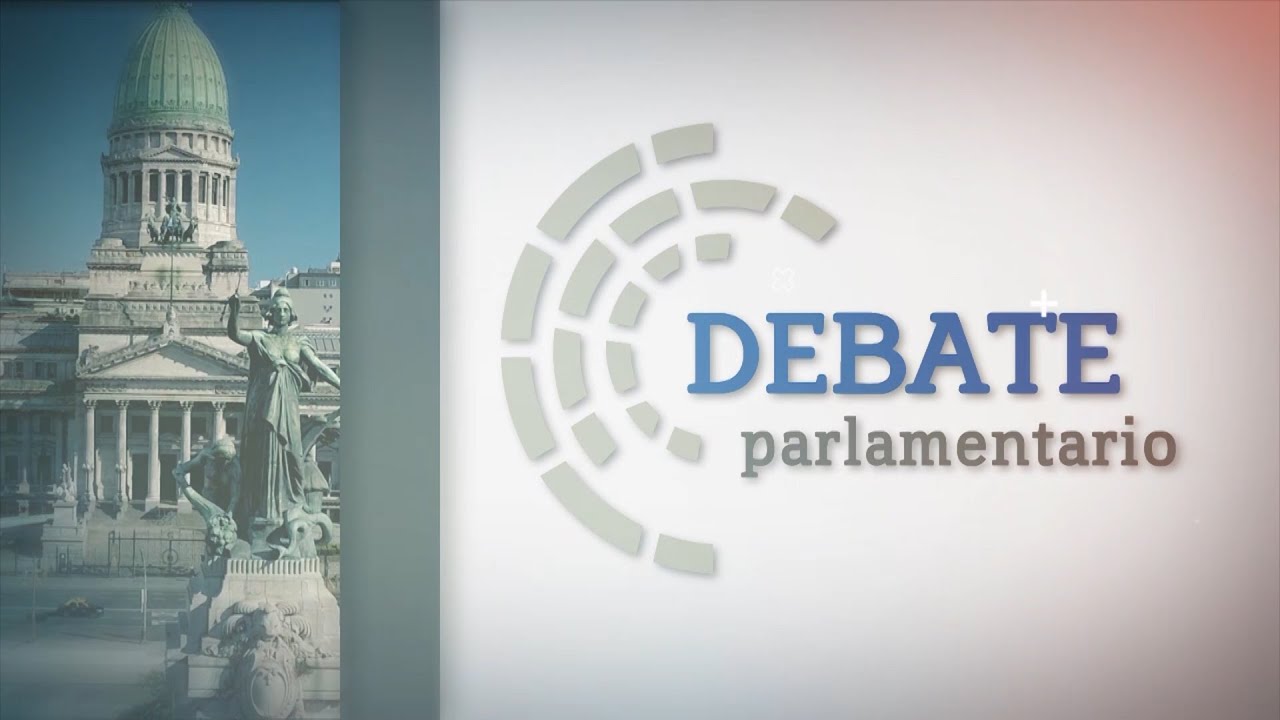 DEBATE PARLAMENTARIO 13-07-20 RICARDO BURYAILE - YouTube