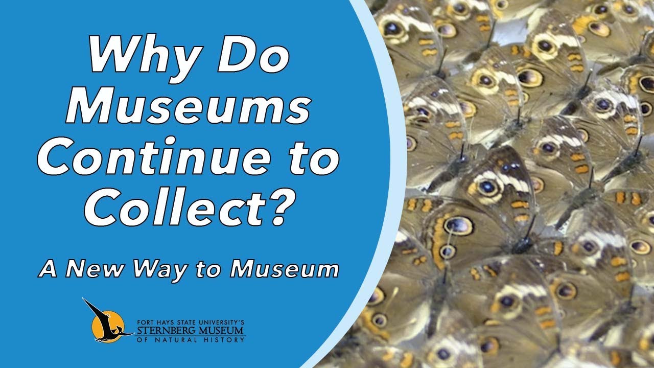 Why Do Museums Continue to Collect? | A New Way to Museum - YouTube