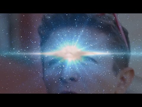 Wren - The prophecy is true.