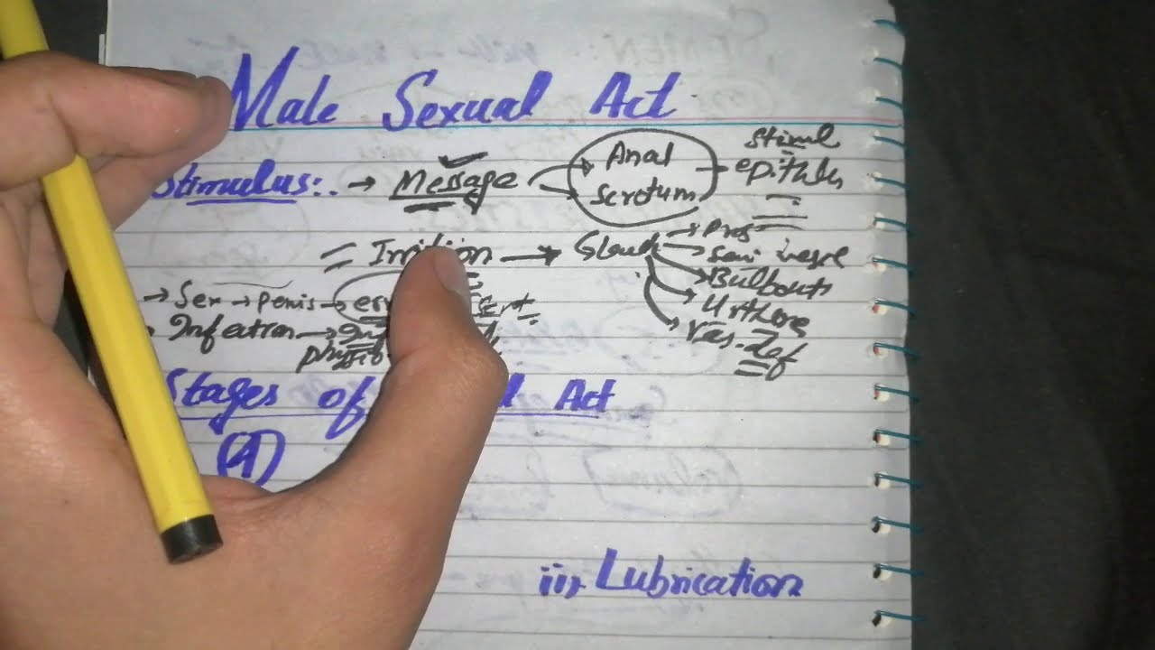 MALE ACTS. Chap 80 guyton. Emission, lubrication, ejection. # ...