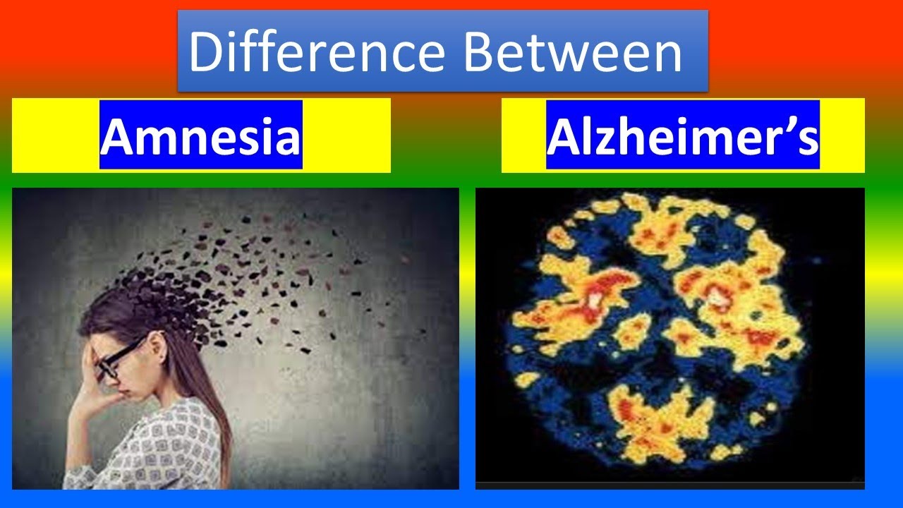 AMNESIA Vs ALZHEIMER'S - YouTube