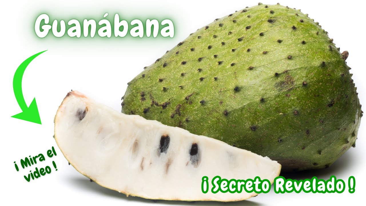 🍃BENEFICIOS de la GUANÁBANA | GUANÁBANA: La FRUTA Milagrosa que ...