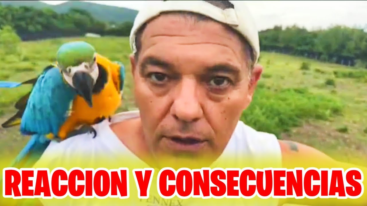 LA REACCION MAS SALVAJE DE FRANK CUESTA EN UN DIRECTO Y SUS ...