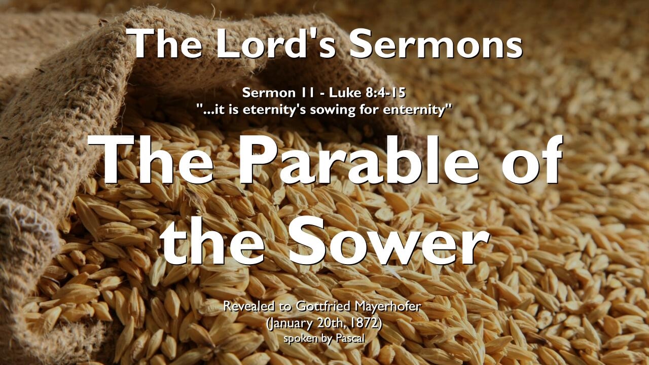 The Parable of the Sower & Accountability for the sown Seeds ️ Jesus ...
