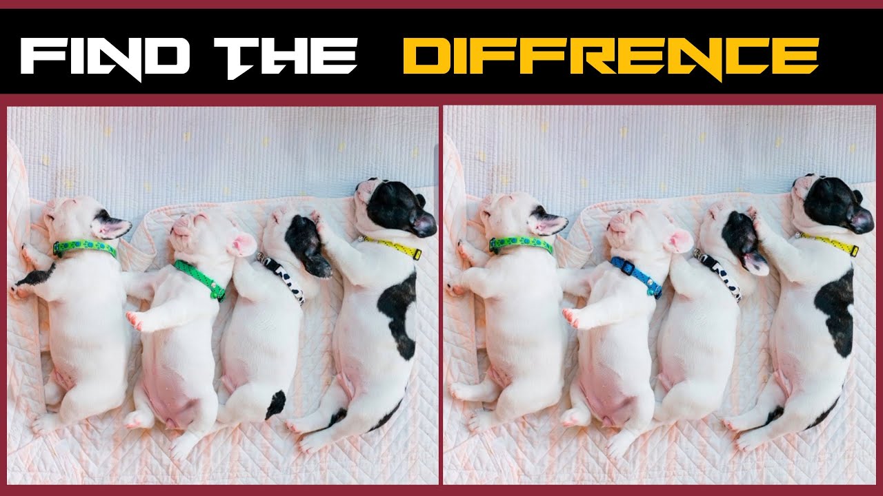 ||Brain 🧠 test ||90% fail ||Find the Difference between two pictures ...