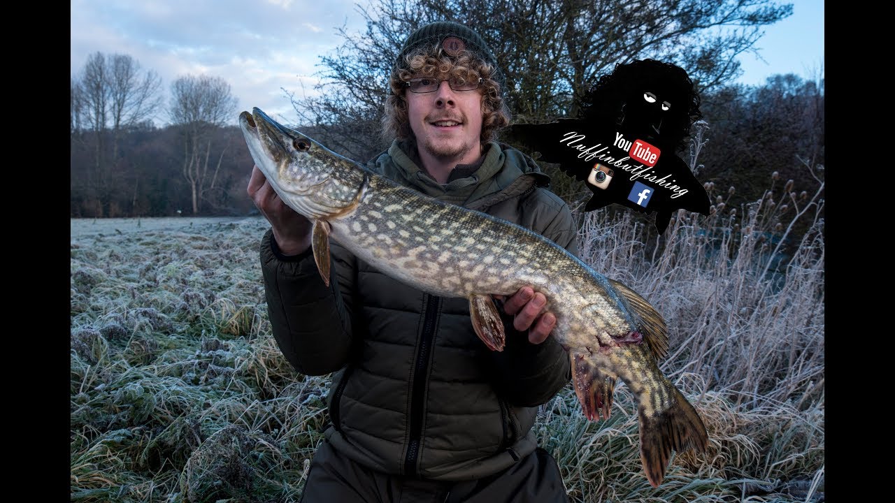 Episode 181 - First Pike of the Season - Nuffinbutfishing - YouTube