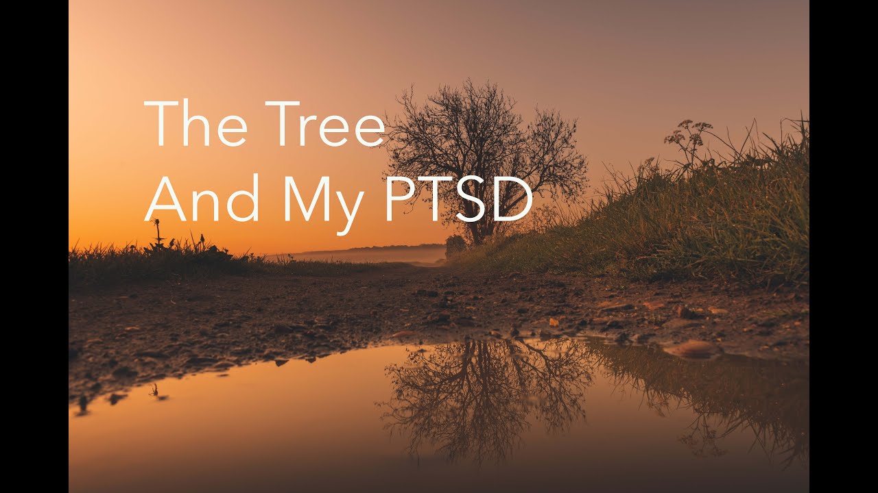 How One Tree Changed My PTSD: Thoughtful Journey With Mental Health ...