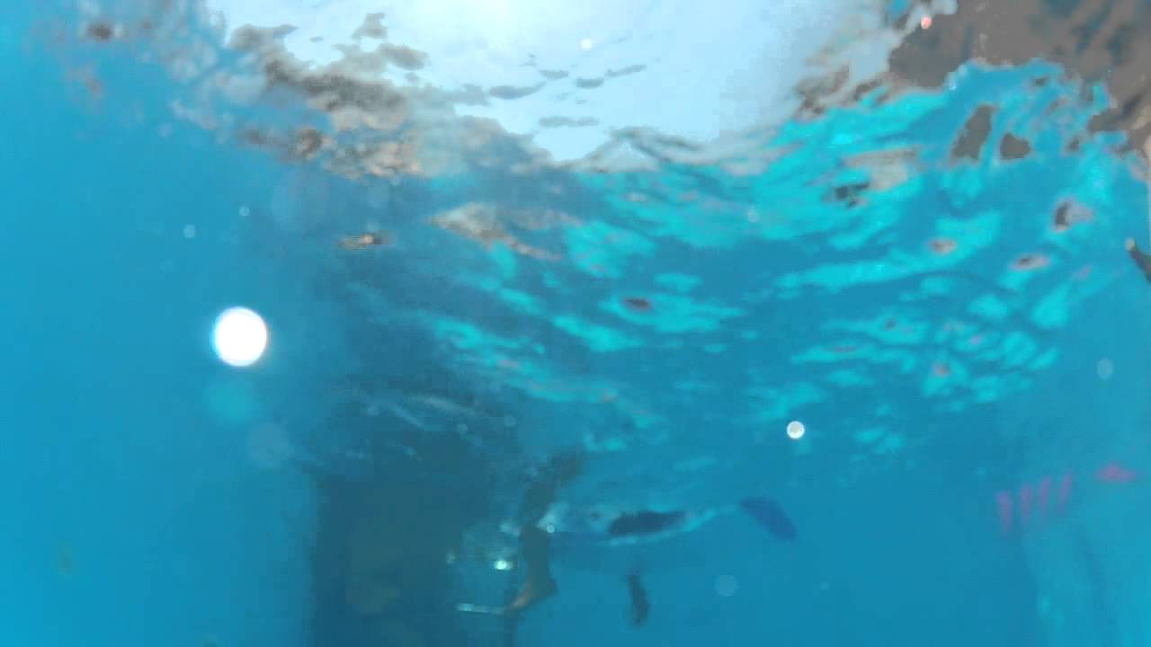 The Big Splash Theory - YouTube