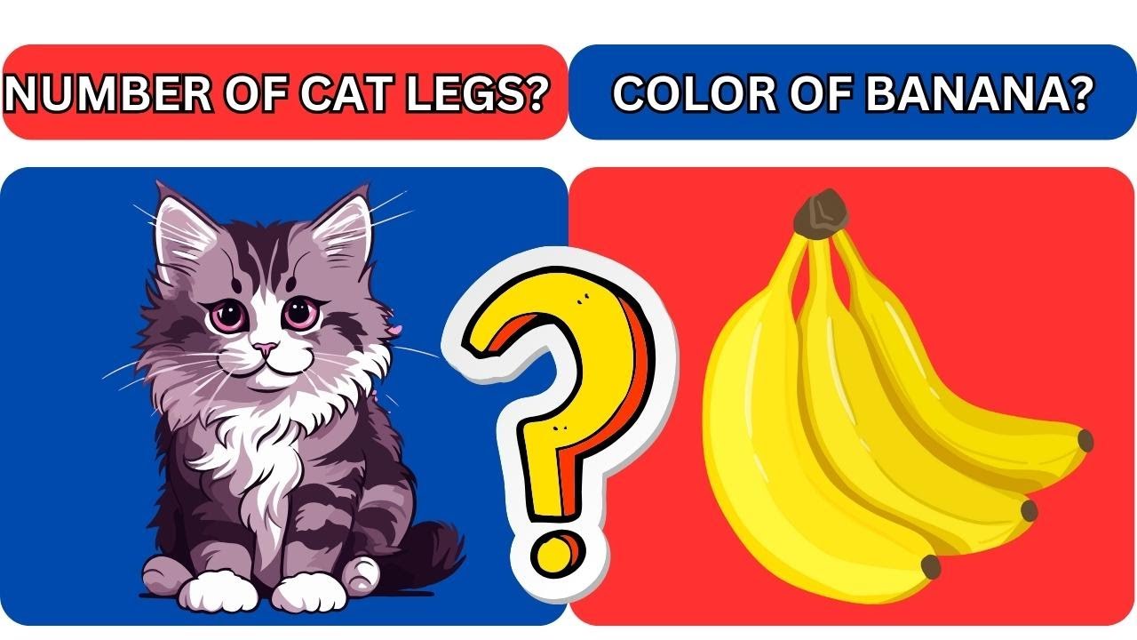 Math Quiz | Math Quiz for Kindergarten Kids | Math For Kids | Quiz For ...