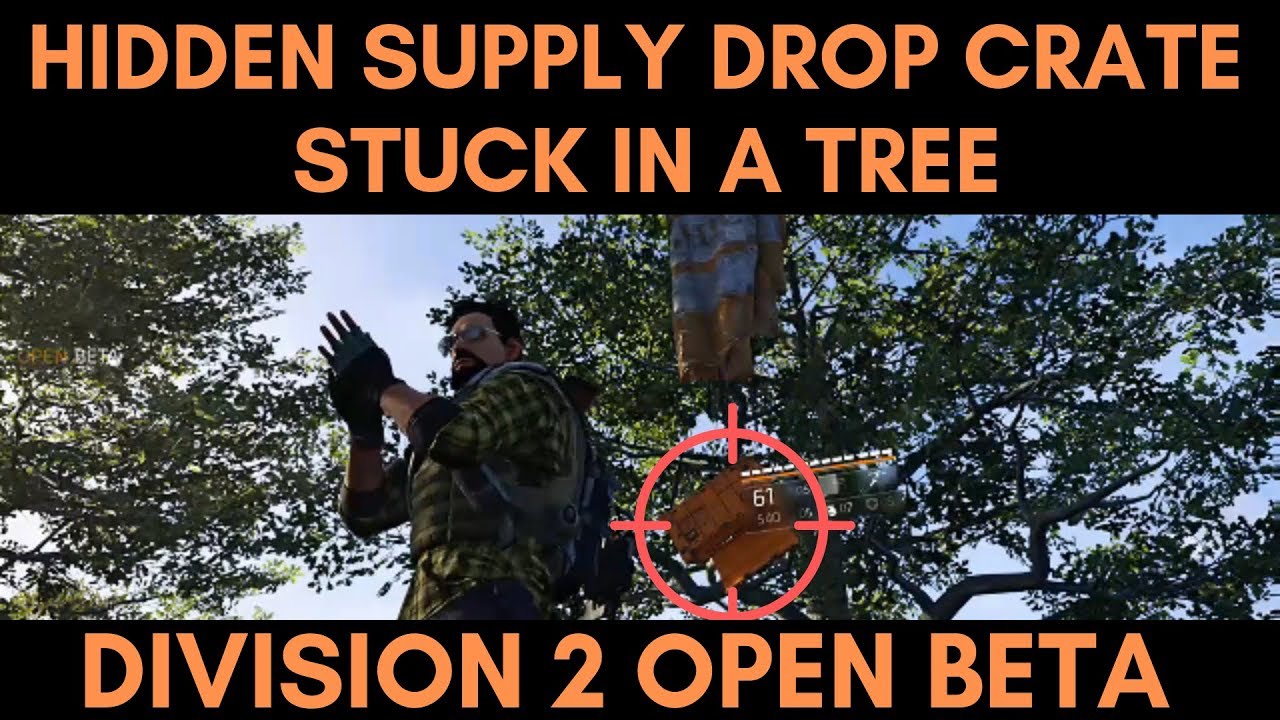 Division 2 Open Beta Hidden Supply Crate Stuck In A Tree Tom Clancy's ...