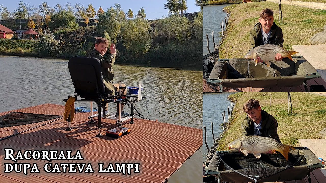 Crapi frumosi la method , toamna...Balta Gruiu - YouTube