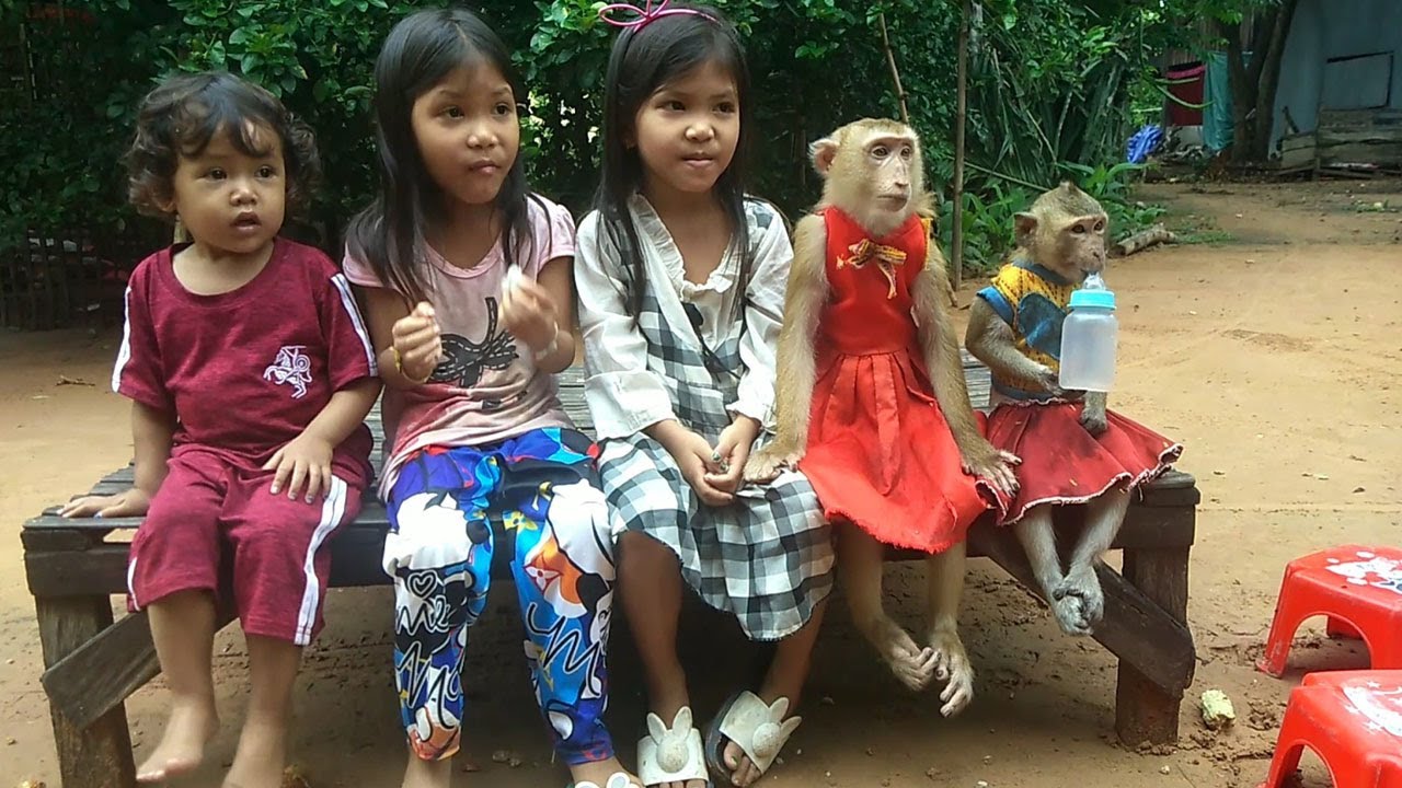 YaYa Team In Happy Time - YouTube