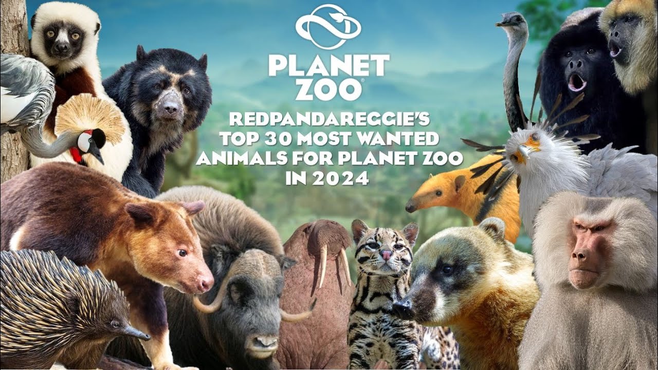 RedPandaReggie's Top 30 Most Wanted Animals for Planet Zoo in 2024 ...