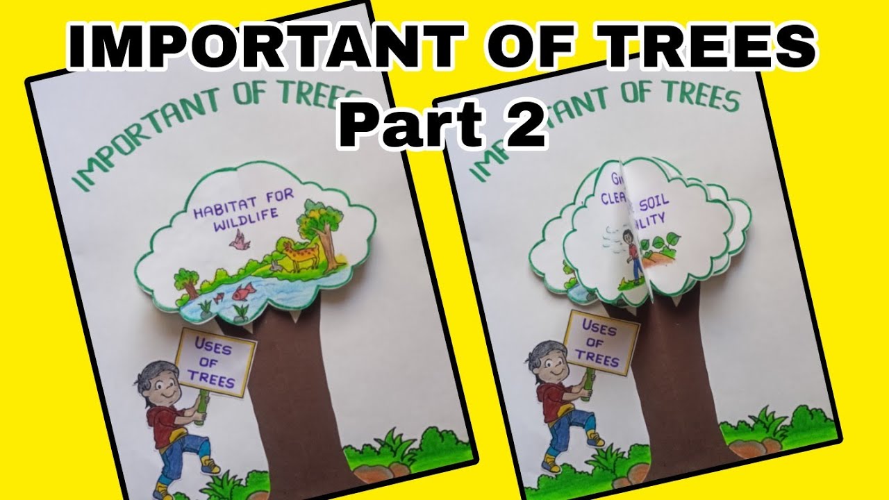 Importance of trees | uses of trees project | importance of trees ...